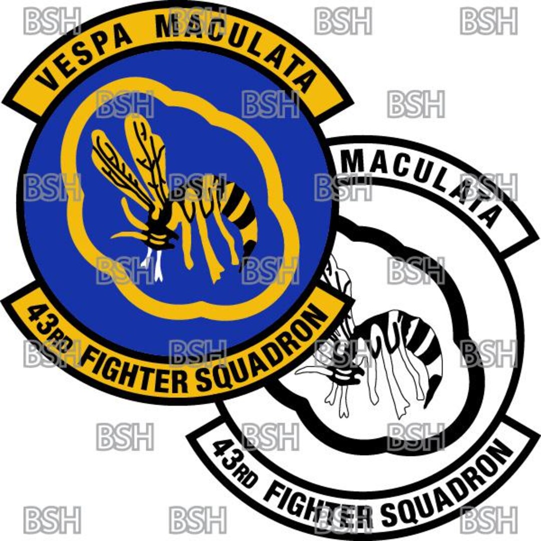 43rd Fighter Squadron (tyndall AFB) Patch Vector Image Files (.ai, .pdf, & .svg Formats) Plus ...