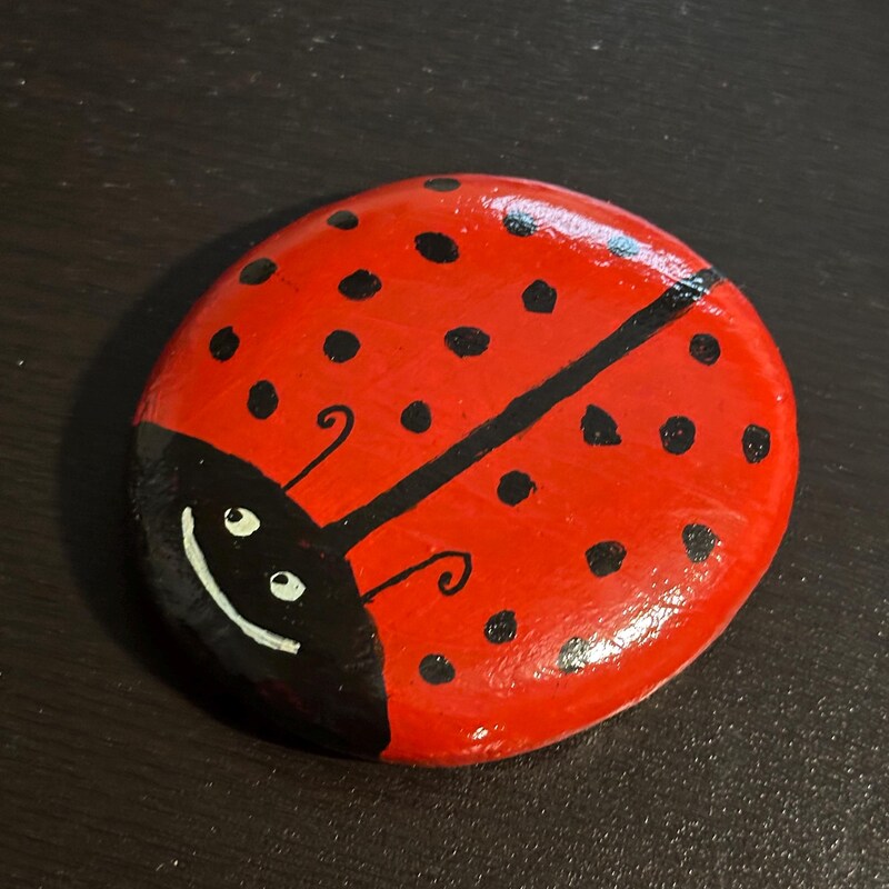 Rock Stone Lady Bug - Etsy