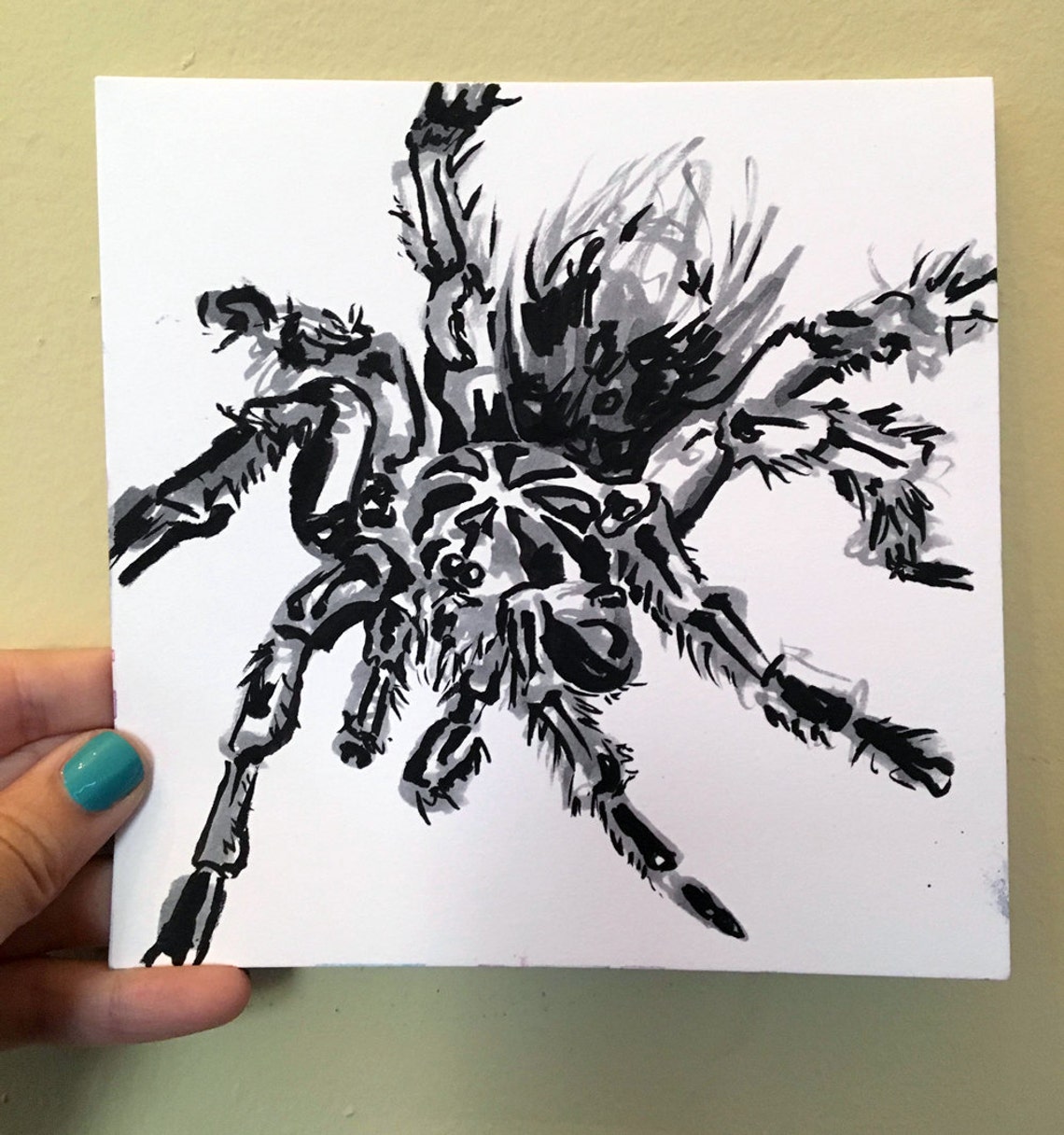 Tarantula Drawing - Ink Painting of a Spider - Black Tarantula Art ...