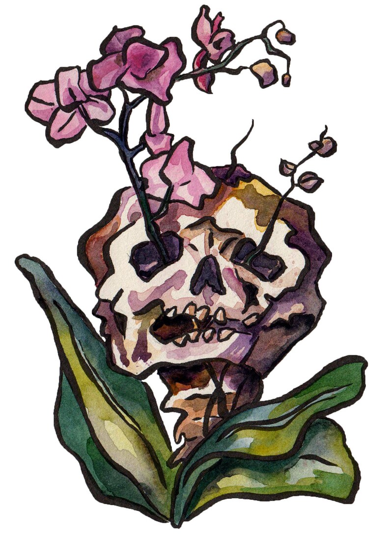 Skull and Orchid Art - Watercolor and Ink Painting of Skeleton ...