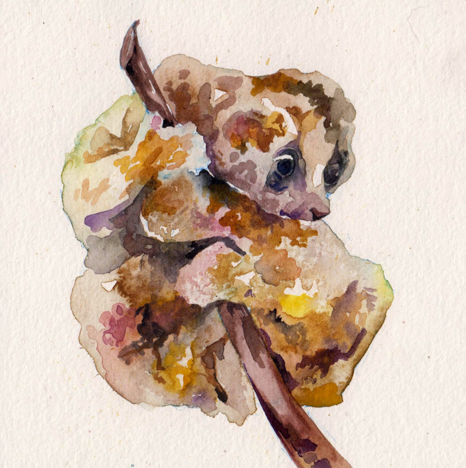 Cute Slow Loris Watercolor Painting by Jen Tracy - Original Art of ...