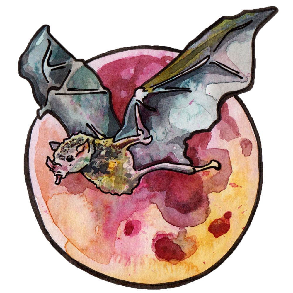 A5 Watercolour Artwork Original Painting Human Vampire Bat Art ...