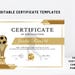 DIY Sports Award Certificates: Editable Soccer Templates (canva ...