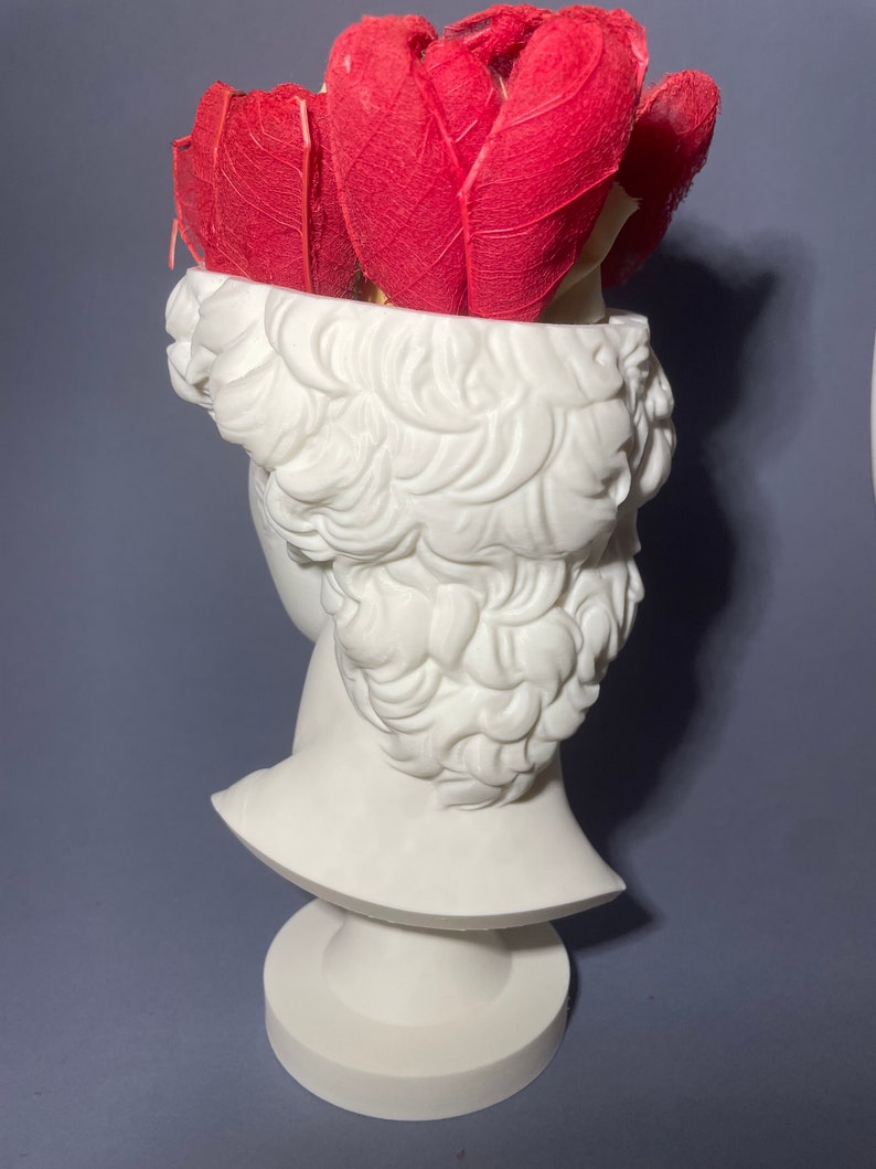Michelangelo’s Iconic David – Unique and Fun Decor for Plants - Etsy