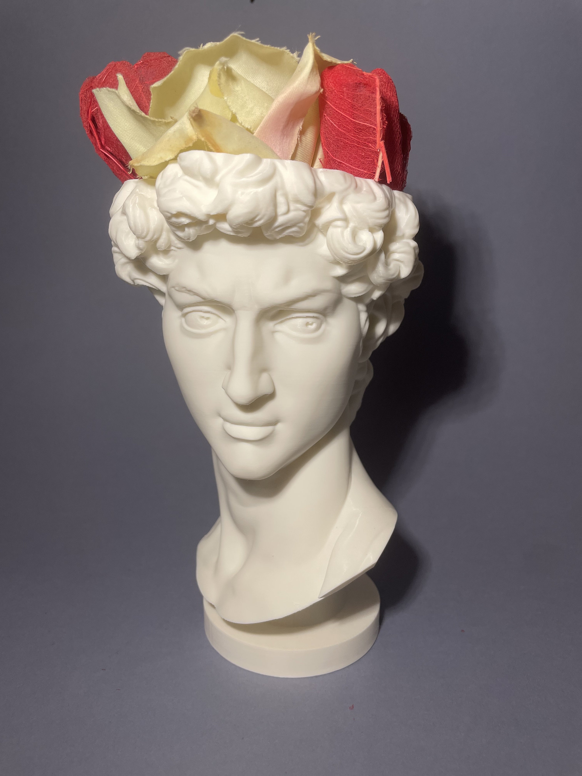 Michelangelo’s Iconic David – Unique and Fun Decor for Plants - Etsy