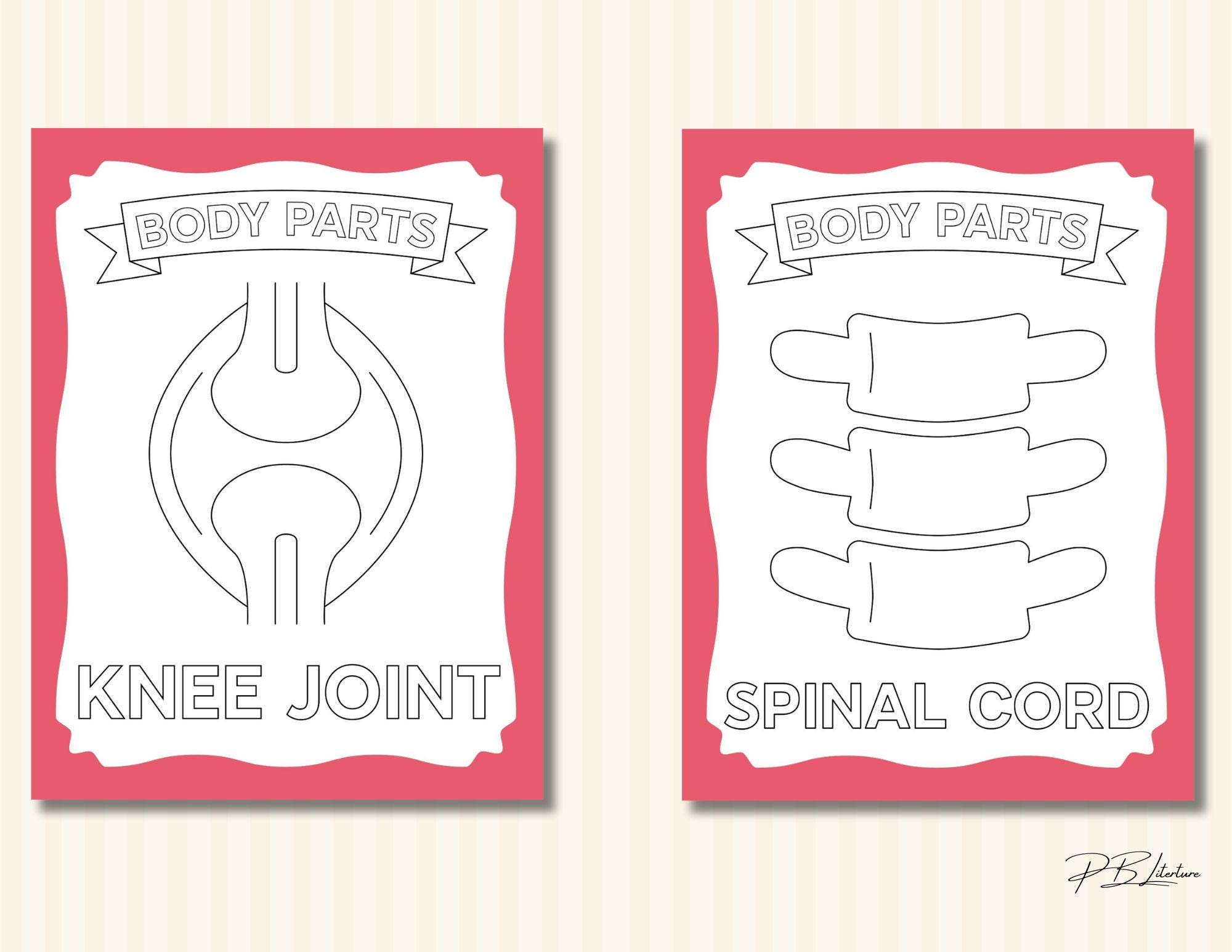 81 Body Parts Human Coloring Pages, Educational Anatomy Coloring Pages ...