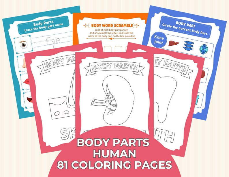 81 Body Parts Human Coloring Pages, Educational Anatomy Coloring Pages ...