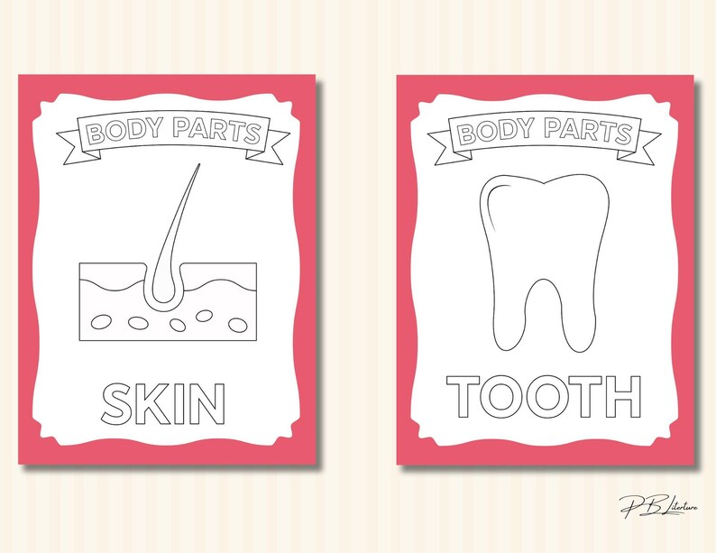 81 Body Parts Human Coloring Pages, Educational Anatomy Coloring Pages ...