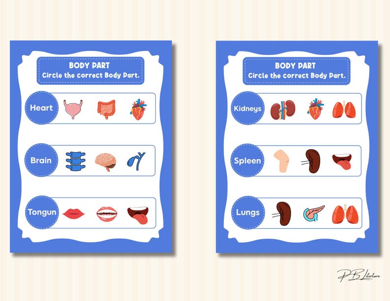 81 Body Parts Human Coloring Pages, Educational Anatomy Coloring Pages ...