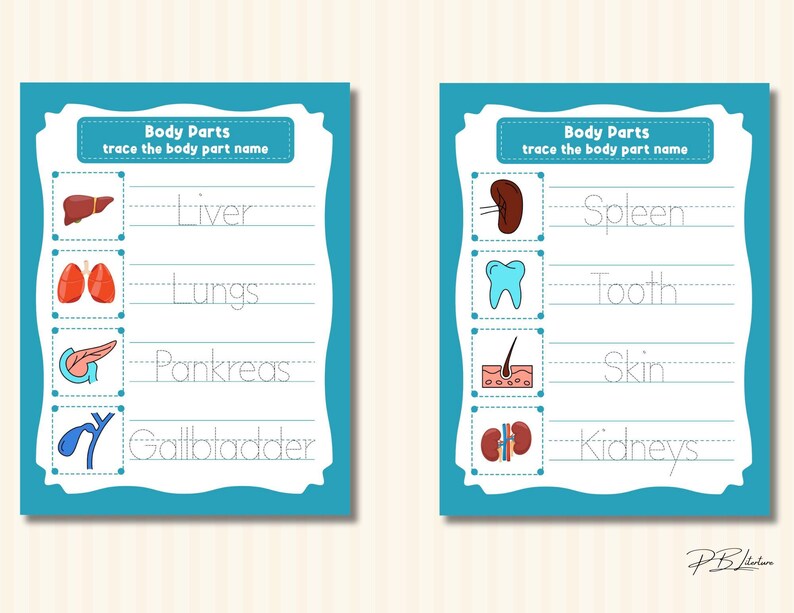 81 Body Parts Human Coloring Pages, Educational Anatomy Coloring Pages ...