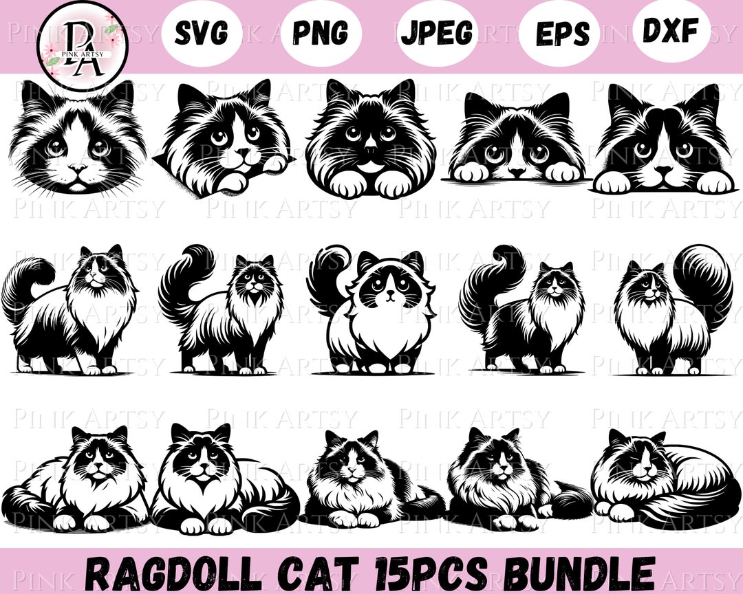 Ragdoll Cat Svg Png Jpeg Dxf Eps Ragdoll Cat Clipart Cat Bundle Svg ...