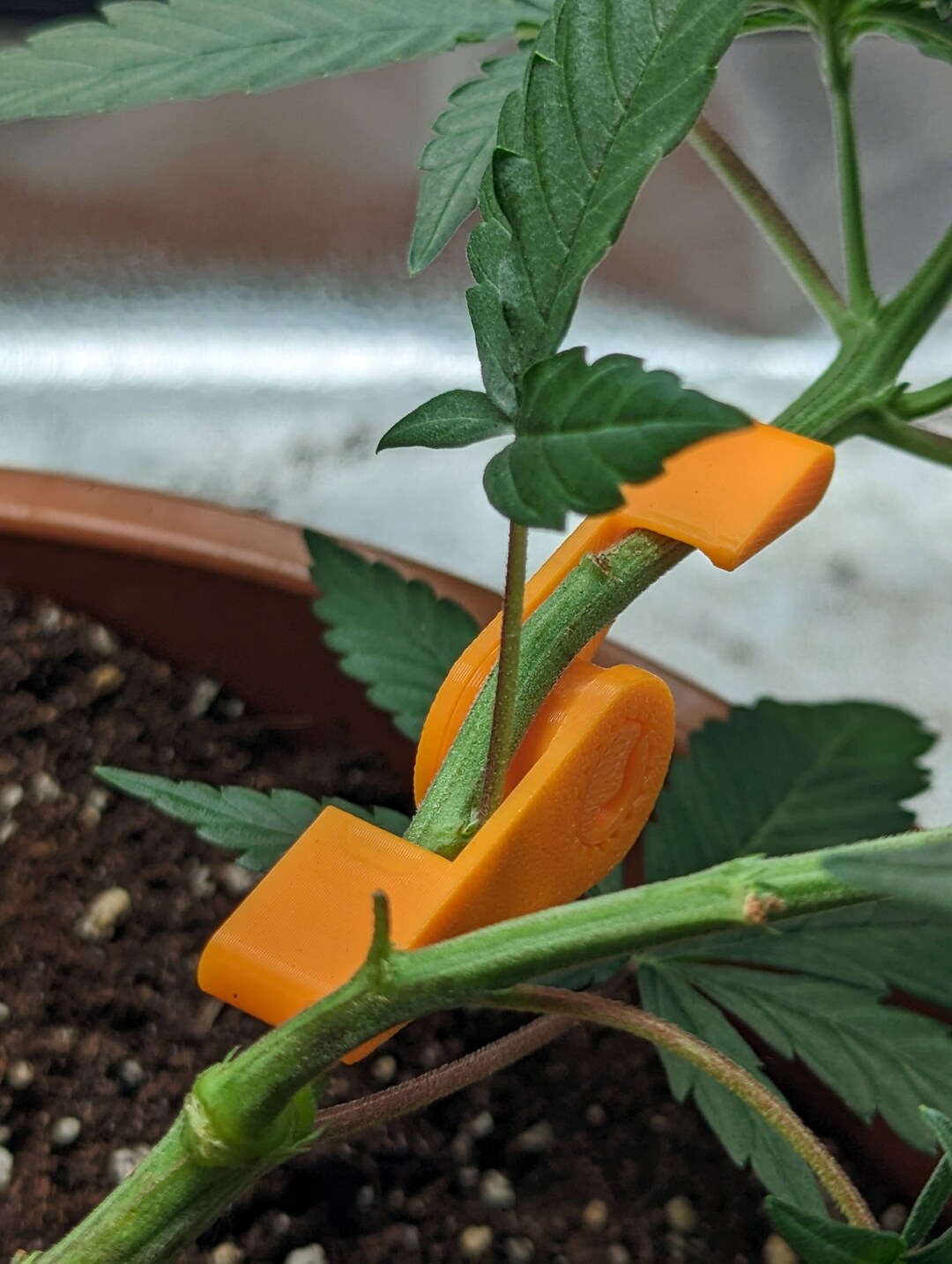 5 Plant Binders for Low Stress Training LST - Etsy