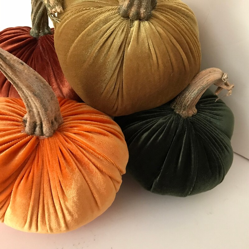 Velvet Pumpkin - Etsy