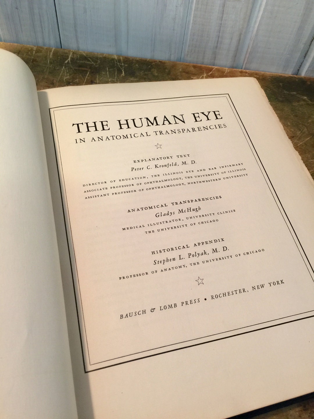 The Human Eye in Anatomical Transparencies Vintage Medical - Etsy