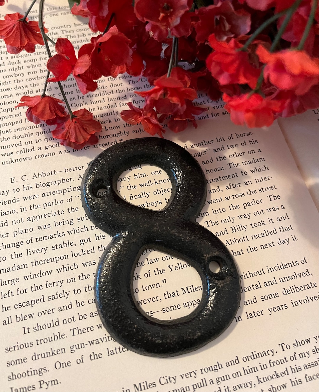 Vintage Inspired Cast Iron Number 8 in Soft Black~house Numbers ...