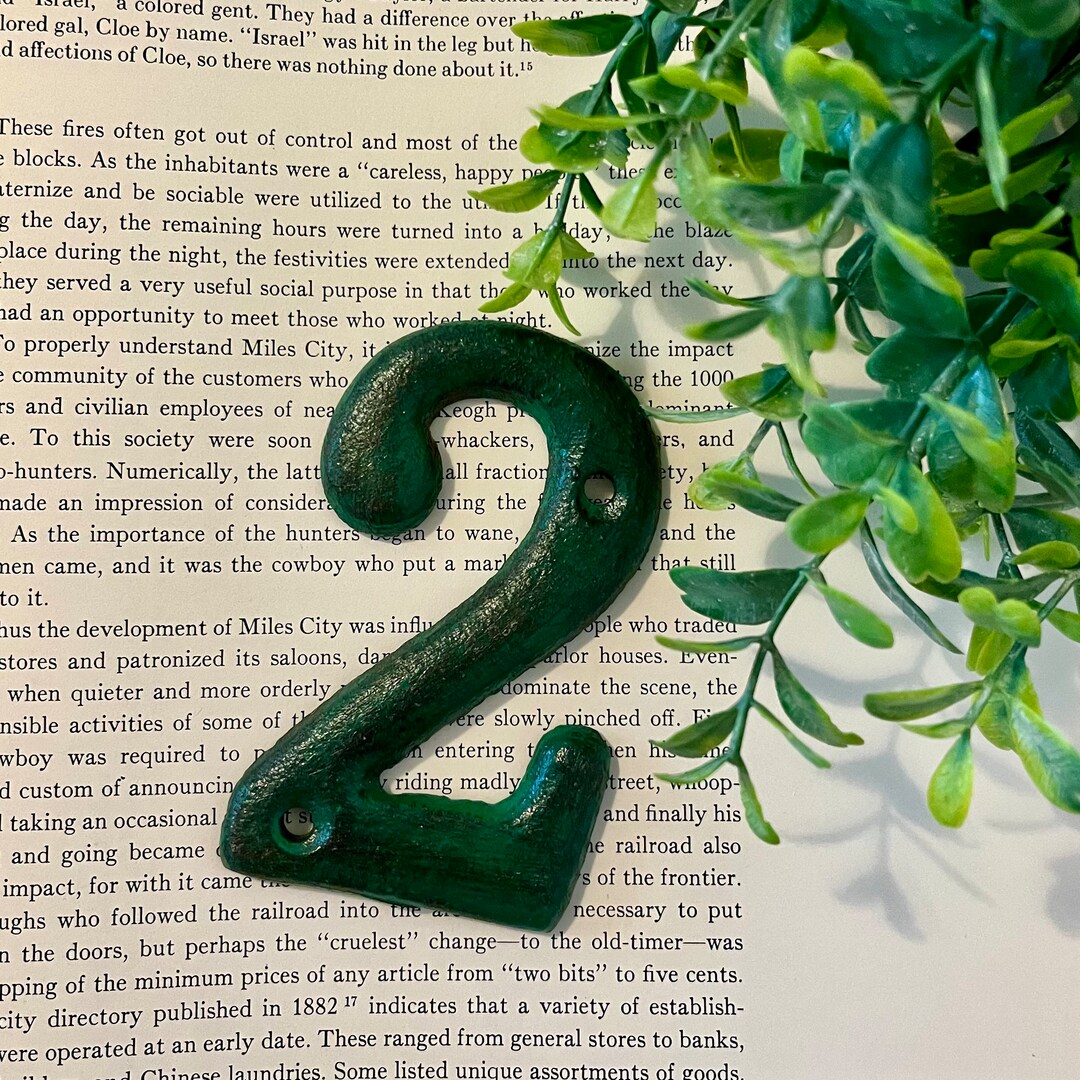 Vintage Inspired Cast Iron Number 2 in Real Green House Numbers Painted ...