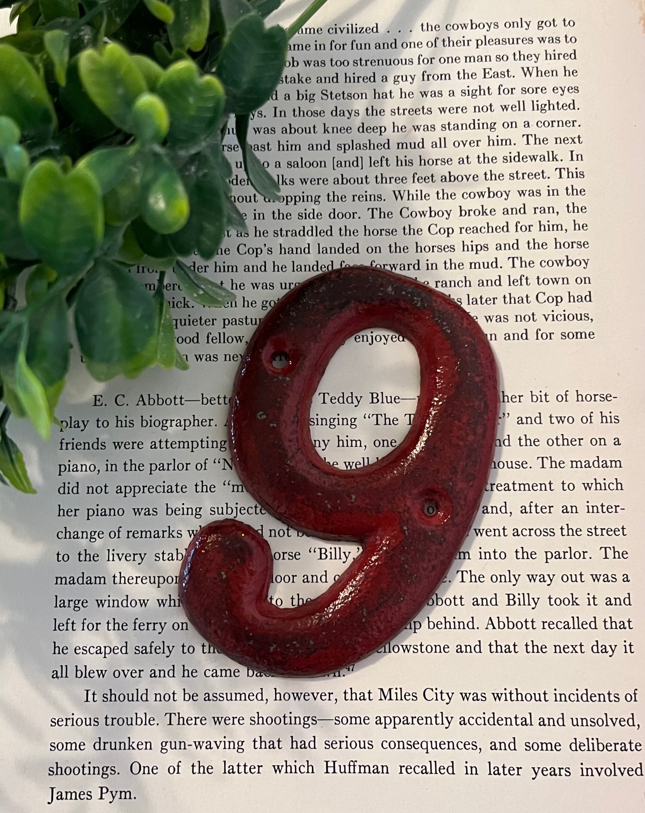 Vintage Inspired Cast Iron Numbers Six or Nine in Fire Engine Red~house ...
