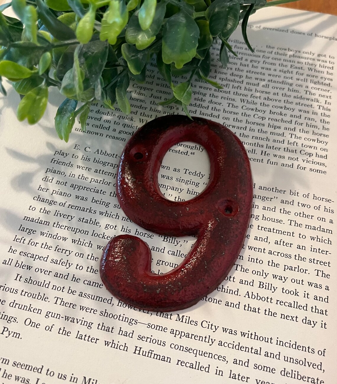 Vintage Inspired Cast Iron Numbers Six or Nine in Fire Engine Red~house ...