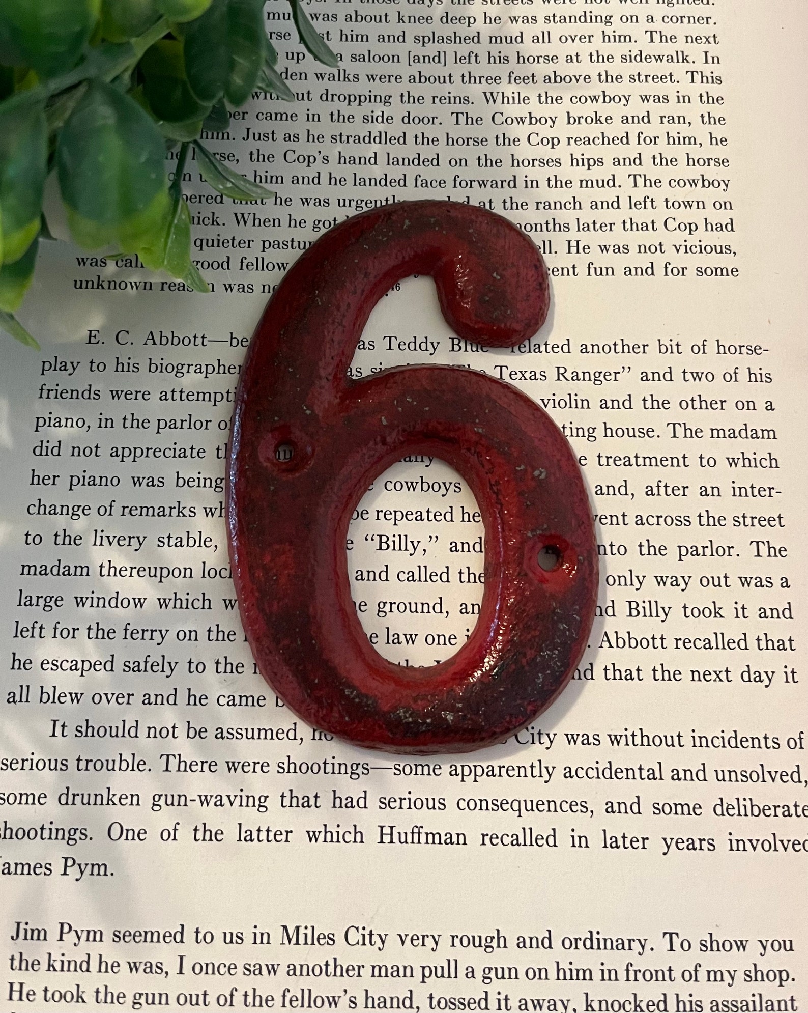 Vintage Inspired Cast Iron Numbers Six or Nine in Fire Engine Red~house ...