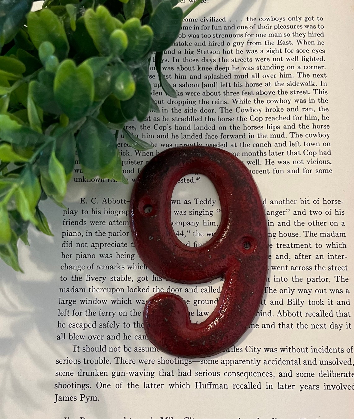 Vintage Inspired Cast Iron Numbers Six or Nine in Fire Engine Red~house ...