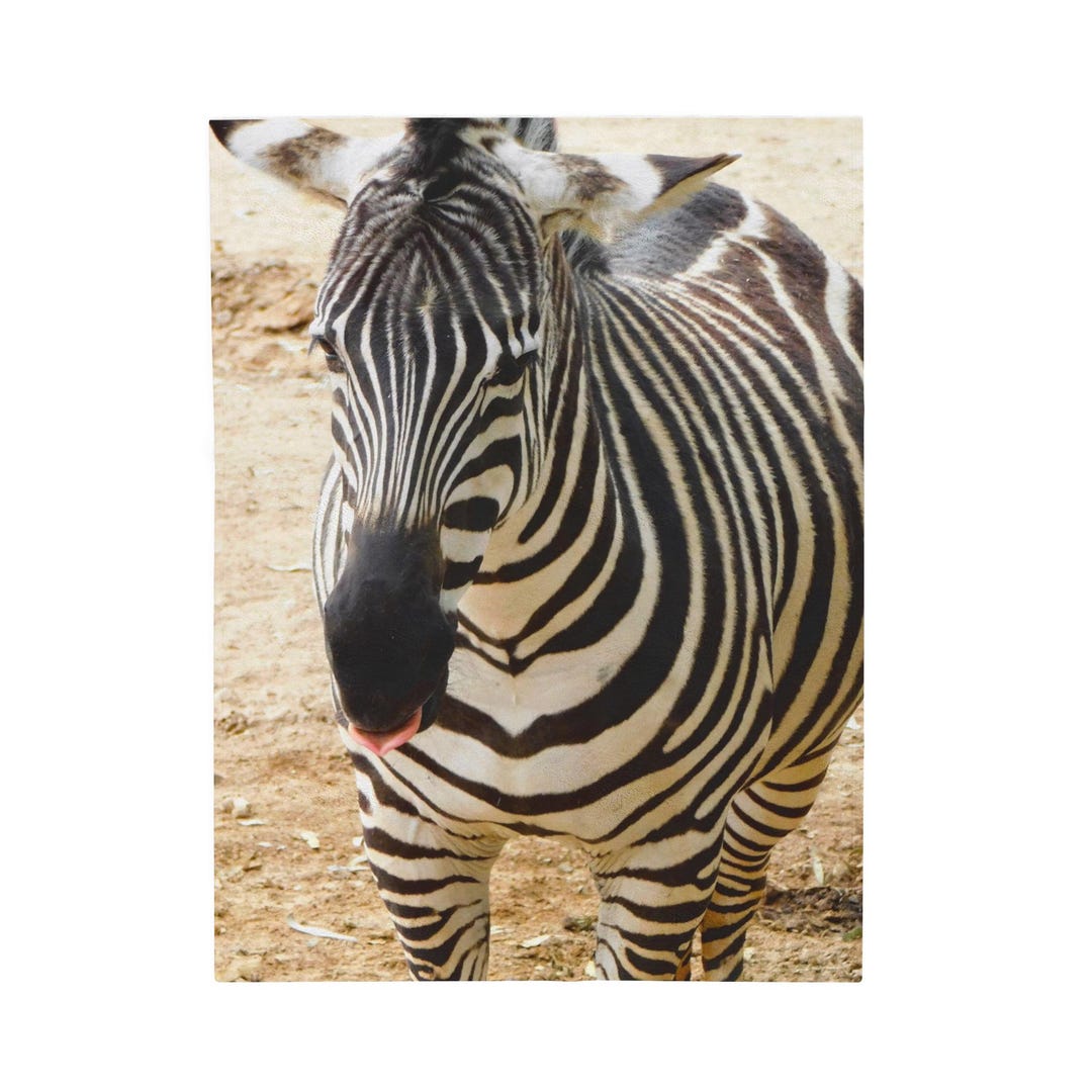 Exotic Zoo Animal ZEBRA Novelty Velveteen Plush Blanket - Etsy