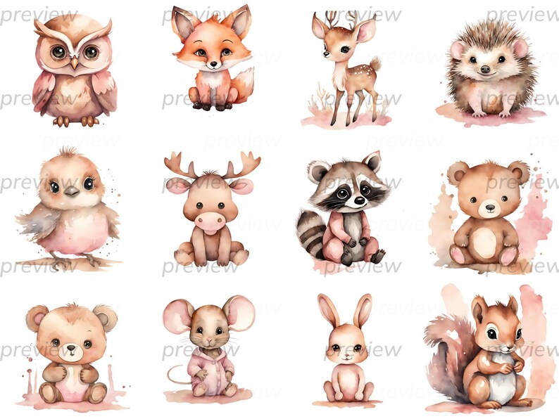 Watercolor Woodland Animals Clipart Pink-owl, Fox,deer,hedgehog,bird ...