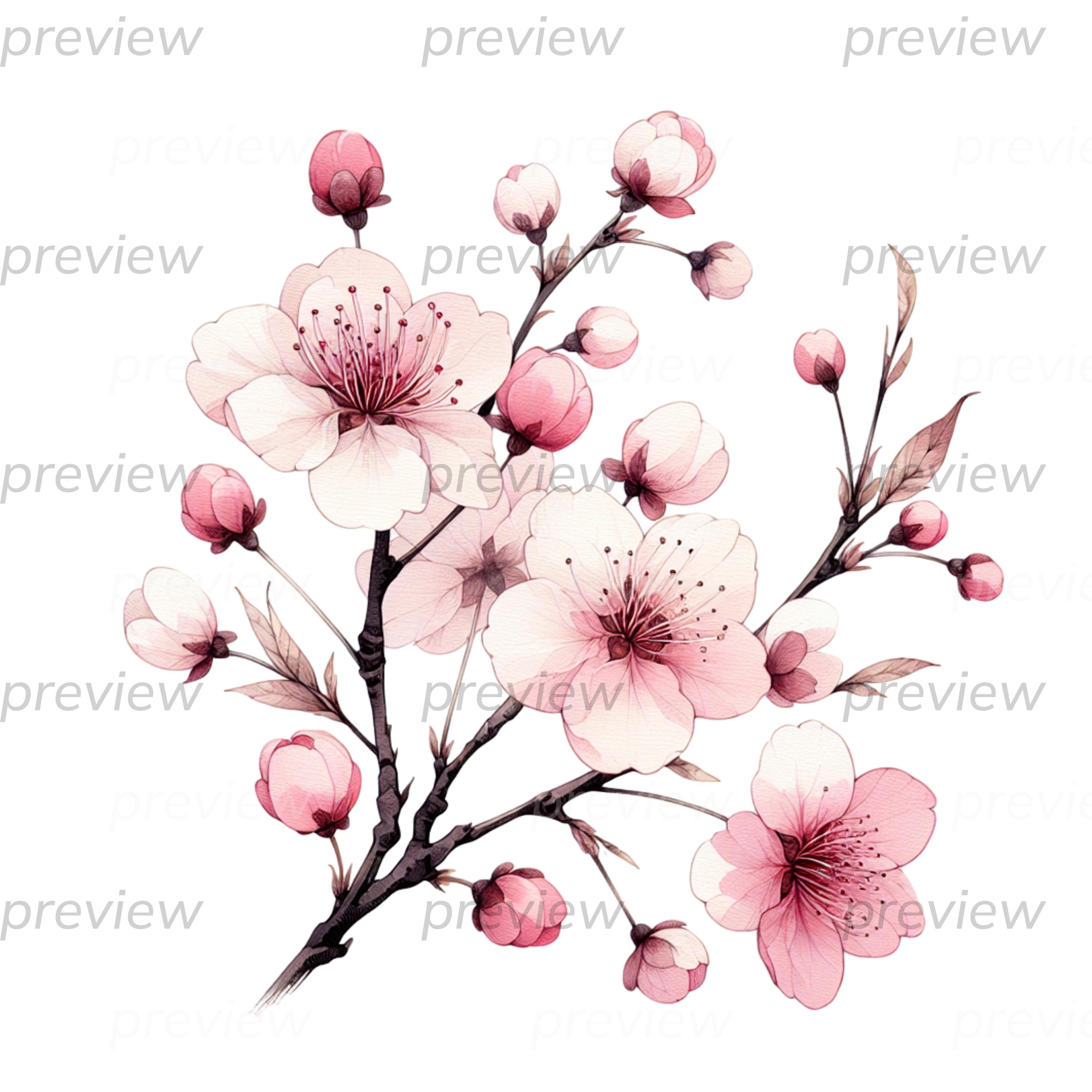 Sakura Nature Clip Art Set, Cherry Blossom Tree, PNG Bundle for Japan ...