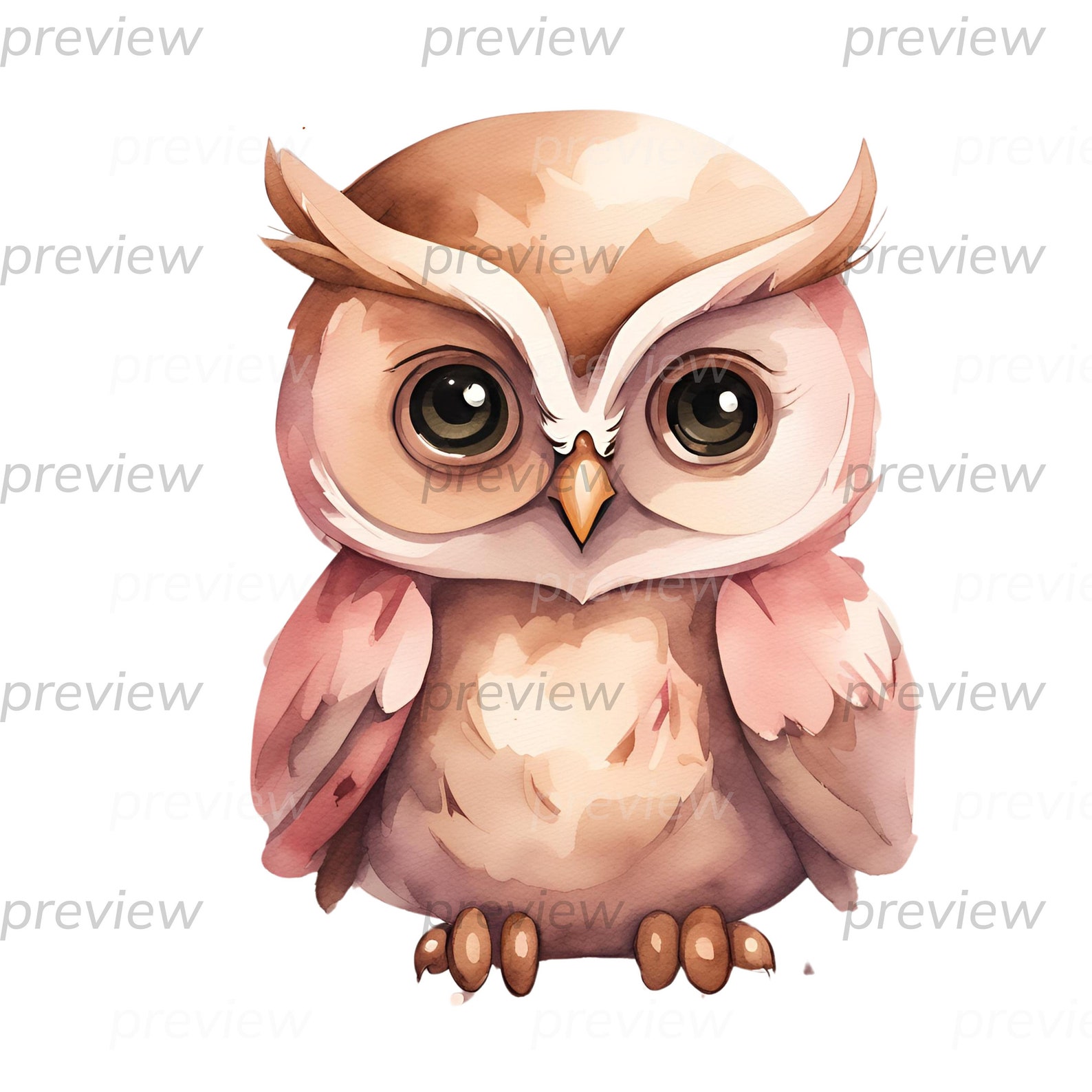 Watercolor Woodland Animals Clipart Pink-owl, Fox,deer,hedgehog,bird ...