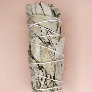 White Sage Smudge Bundle | Natural & Ethically Sourced for Cleansing, Rituals and Spiritual ...