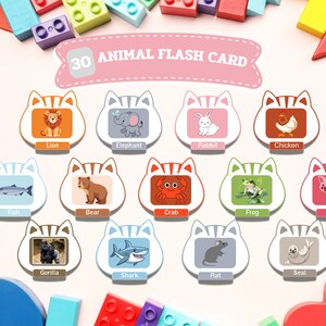 30 Animal Cartoon Vocabulary Cards, Vocabulary Flashcards, Pre-school ...