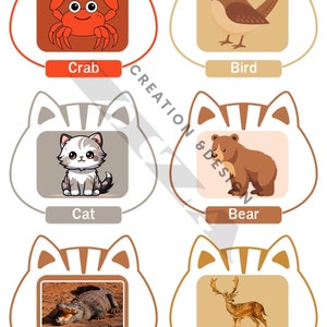 30 Animal Cartoon Vocabulary Cards, Vocabulary Flashcards, Pre-school ...