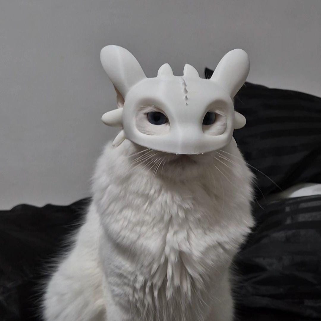 Toothless Night Fury Light Fury Cosplay Costume Pets Cat Mask Dragon ...