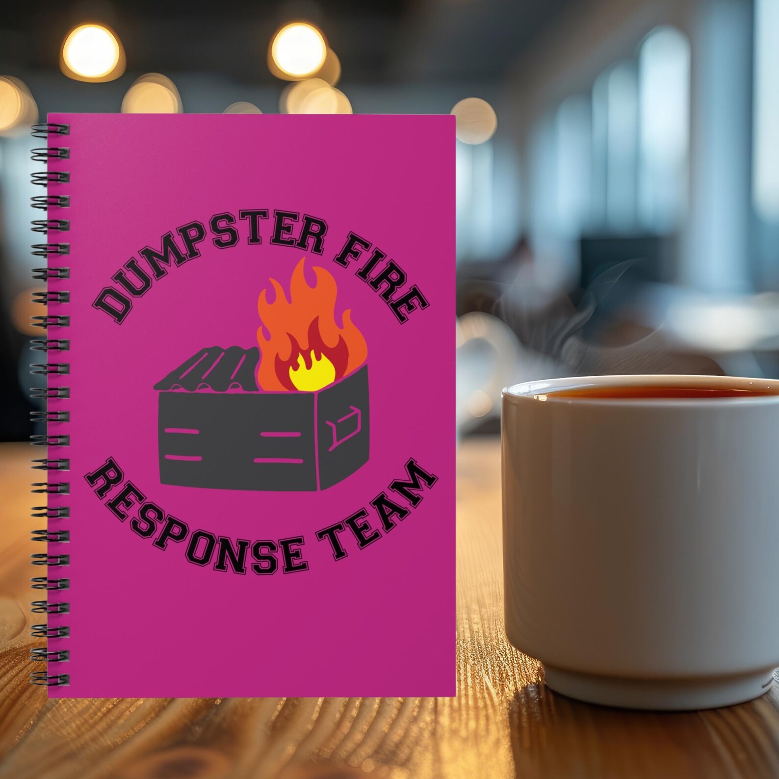 Funny Dumpster Fire Notebook, Ruled Line Spiral Journal, Office Work ...