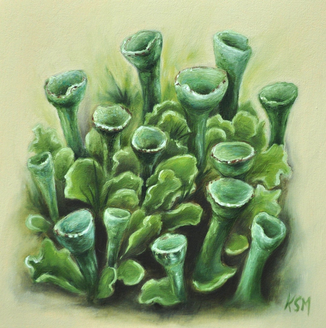 Fine Art Limited Edition "pixie Cups" Archival Reproduction Print - Etsy