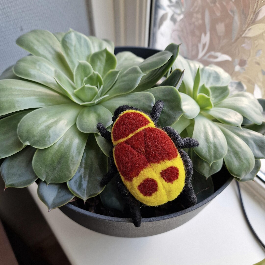 Common Sun Beetle - Needle Felted Gift for Insect Lover, Bug Friend for ...