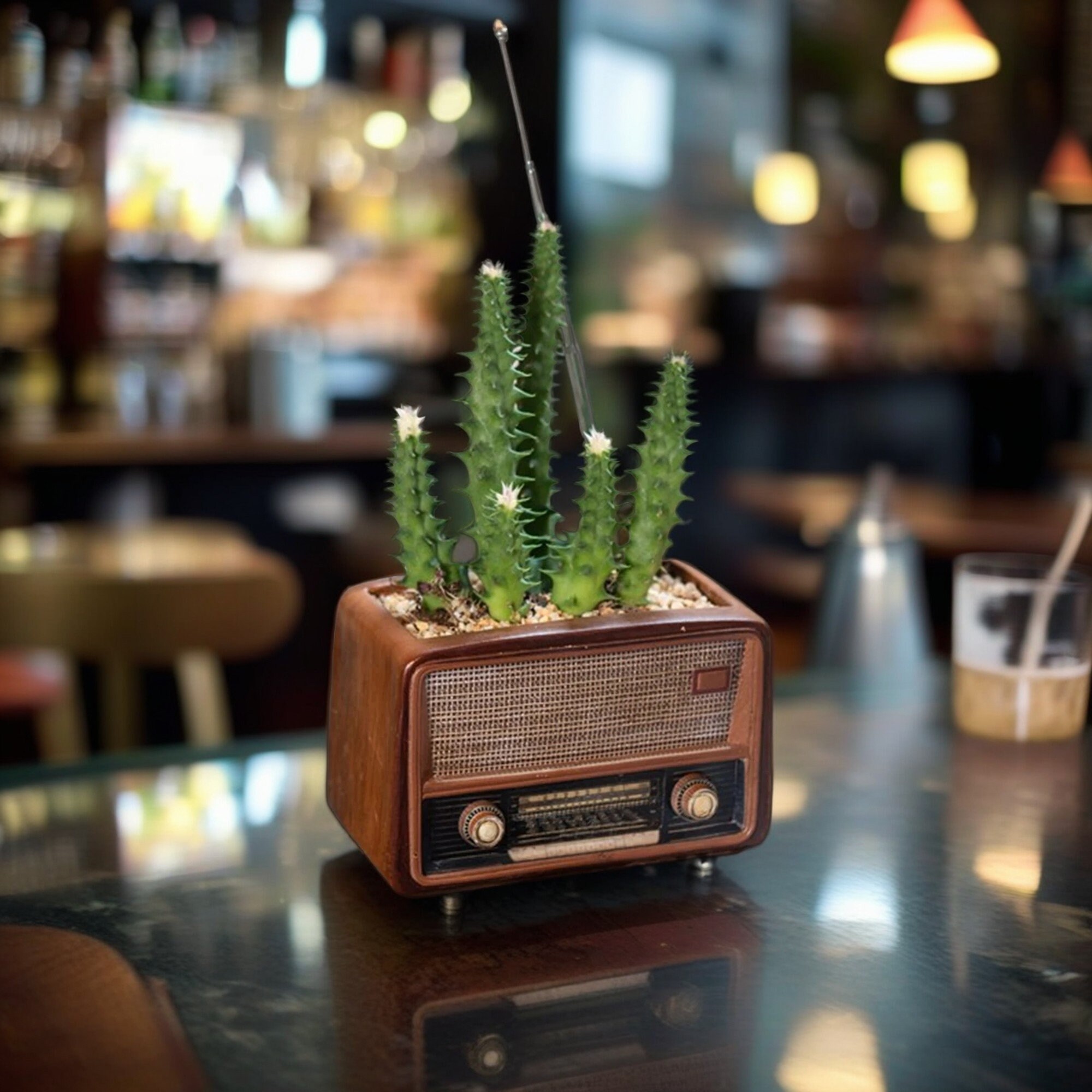 Vintage Radio Vase,retro Tape Recorder Vase,creative Succulent Planter ...