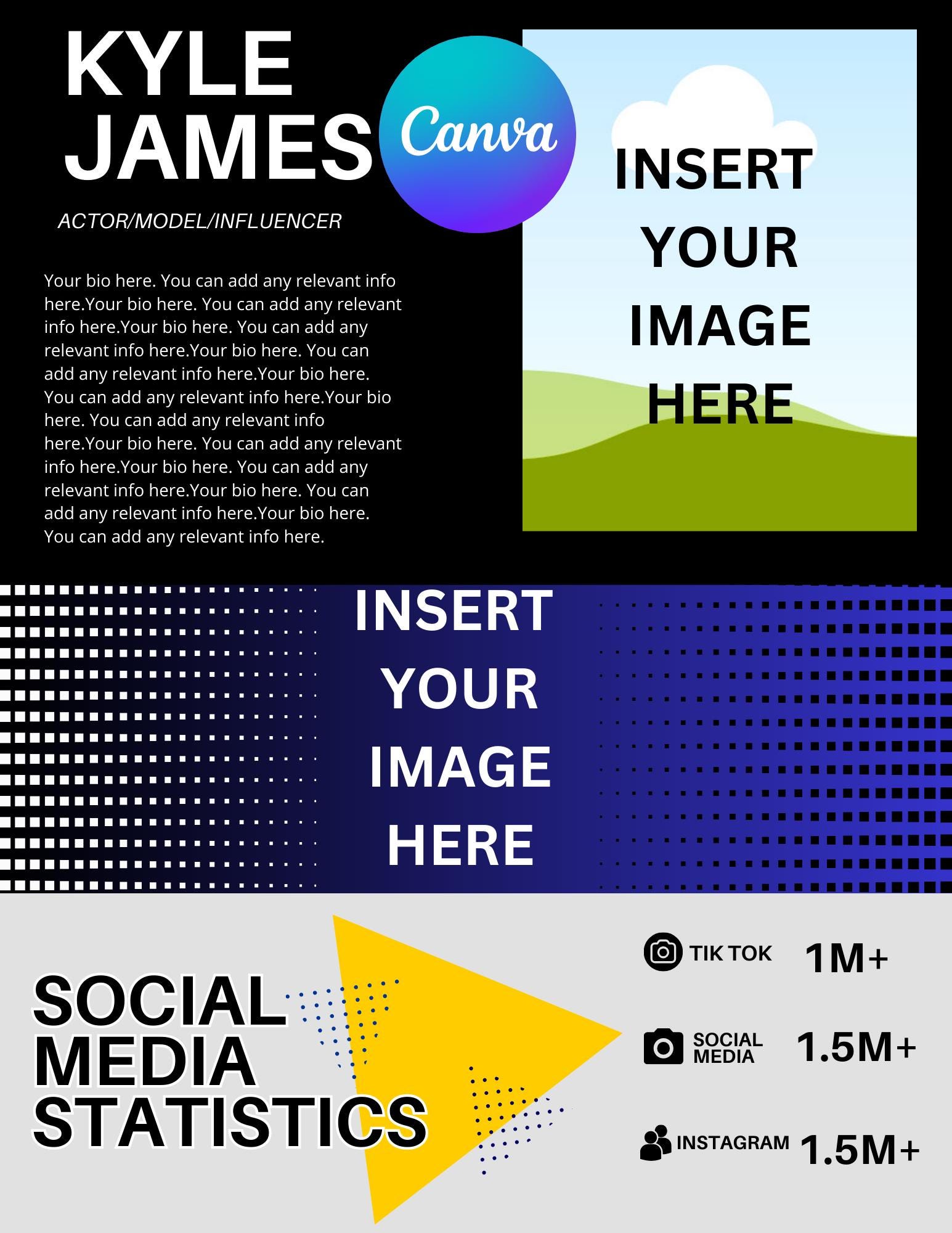 Music Artist One Sheet Editable CANVA PRO Template - Etsy