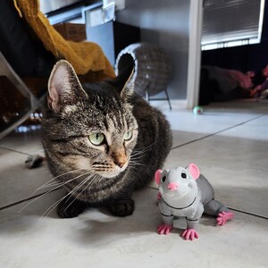 Adorable 3d-printed Posable Rat Toy – Unique Handcrafted Collectible ...