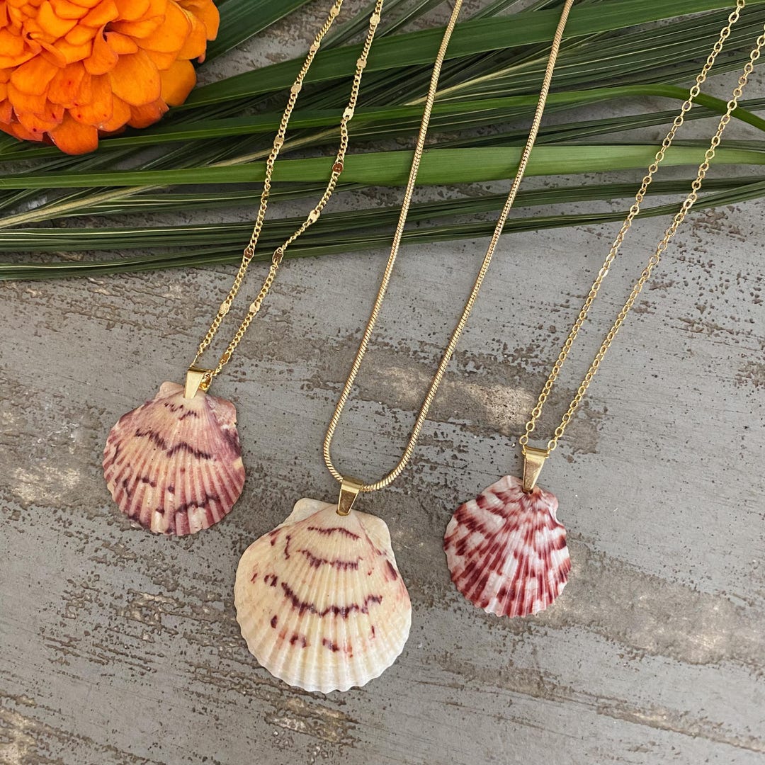 Handmade Calico Scallop Seashell Necklace: Gold-plated Beach Jewelry - Etsy