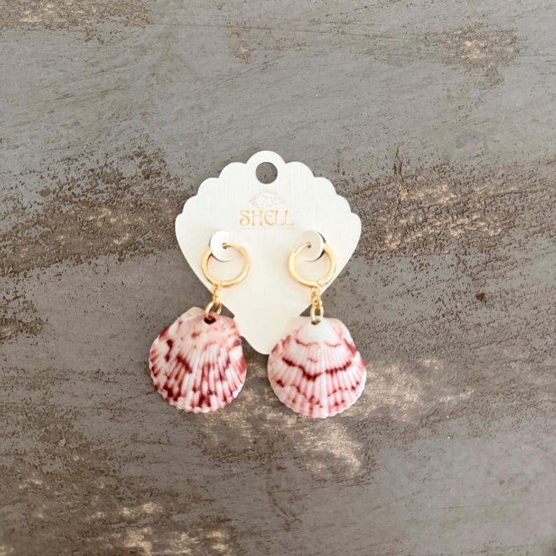 Seashell Hoop Earrings: 18k Gold-plated, Real Captiva Shells - Etsy