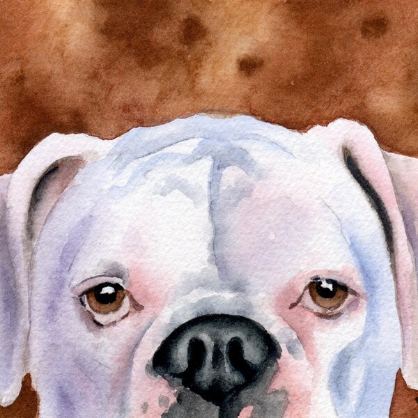 Boxer Watercolor - Etsy