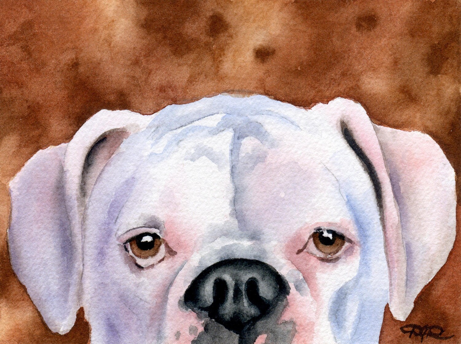 White Boxer Art Print by Watercolor Artist DJ Rogers | Etsy