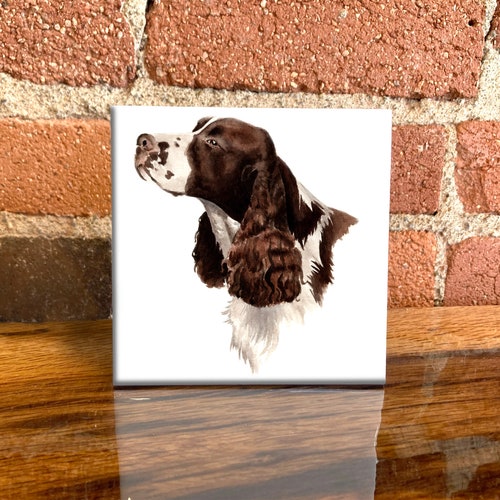 Springer Spaniel Ceramic Tile Springer Spaniel Decorative - Etsy
