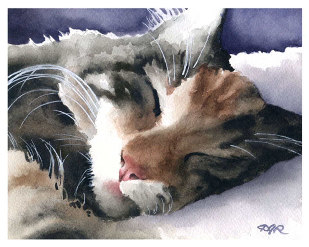 CAT SLEEPING Art Print by Watercolor Artist DJ Rogers - Etsy
