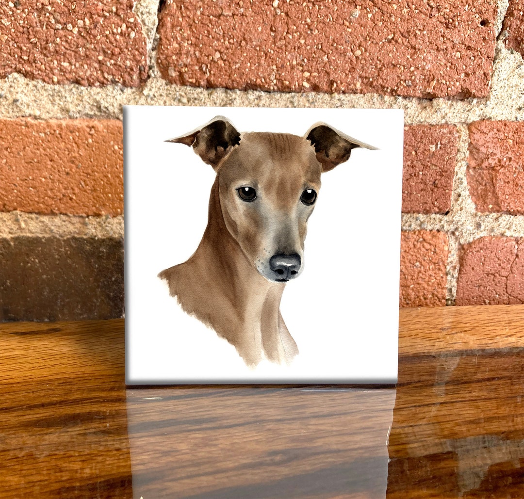 Italian Greyhound Ceramic Tile - Italian Greyhound Decorative Tile ...