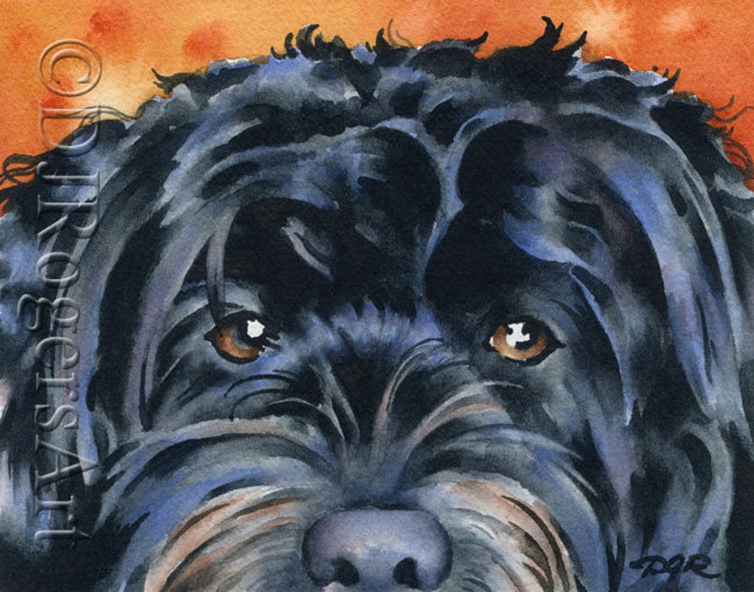 BLACK COCKAPOO Art Print on Watercolor Paper by Watercolor Artist DJ ...
