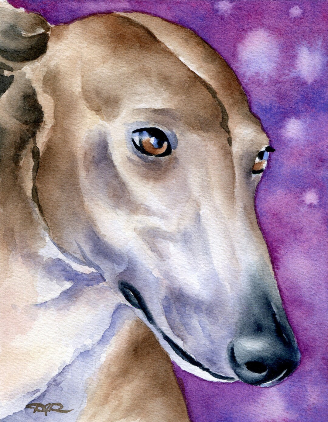 GREYHOUND Art Print Watercolor by Artist DJ Rogers - Etsy