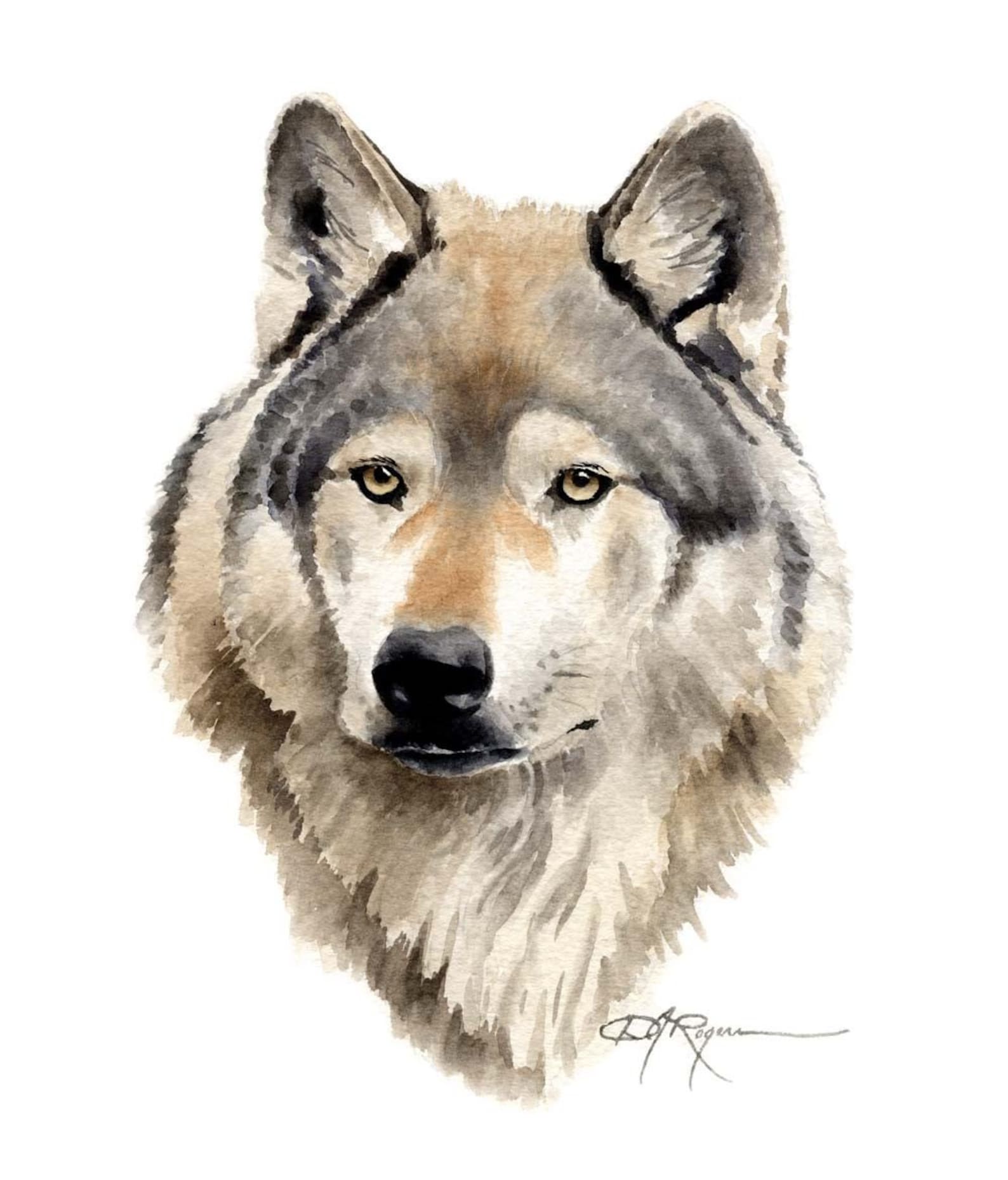 WOLF PORTRAIT Watercolor Painting Art Print by Artist DJ | Etsy