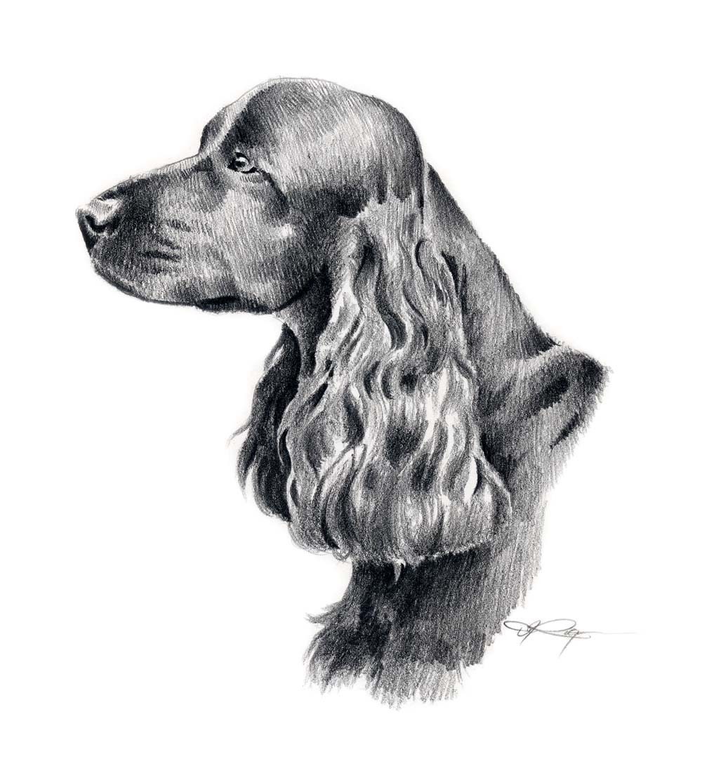 COCKER SPANIEL Art Print Pencil Drawing by Artist DJ Rogers - Etsy