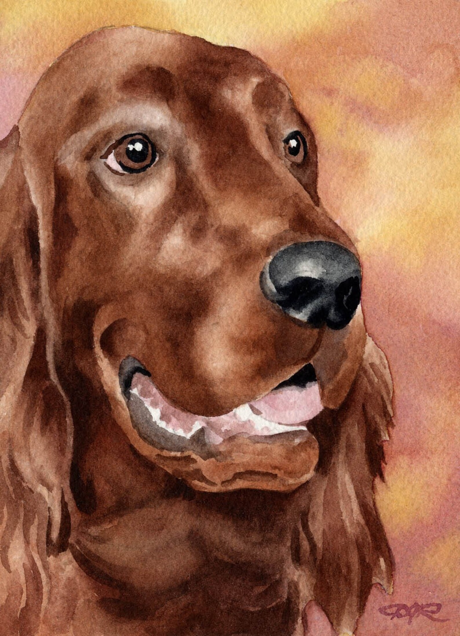 IRISH SETTER Art Print by Watercolor Artist DJ Rogers | Etsy